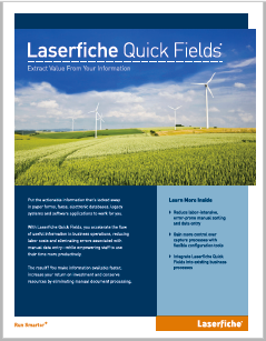 Quick Fields - Nine Peaks Solutions: HCM Consulting and Document ...