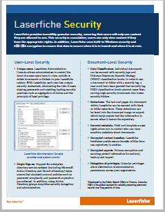 Does Laserfiche Provide Document Security? | Nine Peaks Solutions